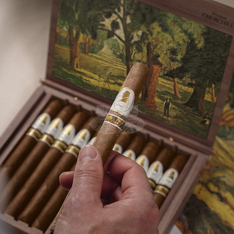 Zigarre Davidoff Winston Churchill Limited Edition 2025 ...